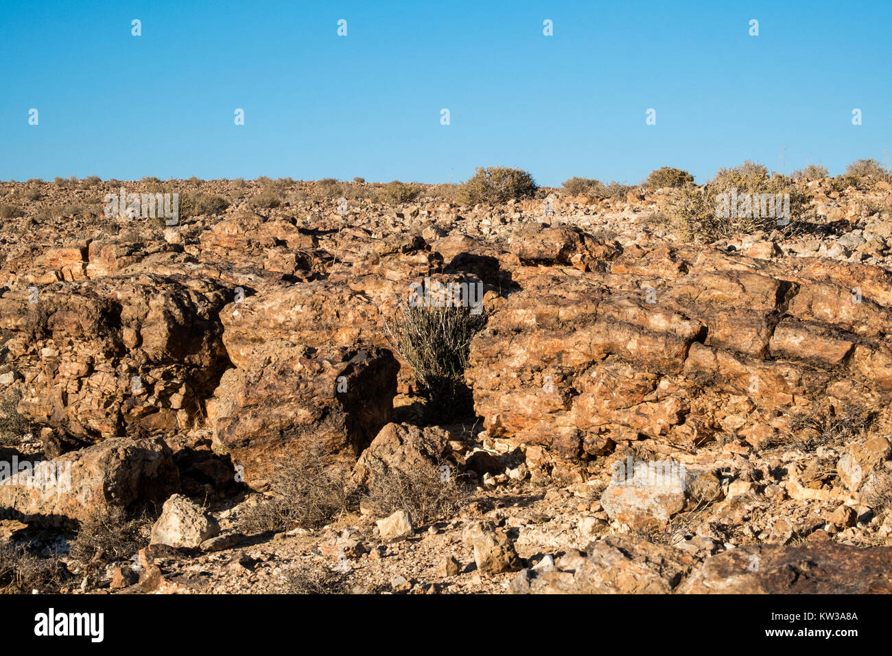 Israel desert hi-res stock photography and images - Alamy