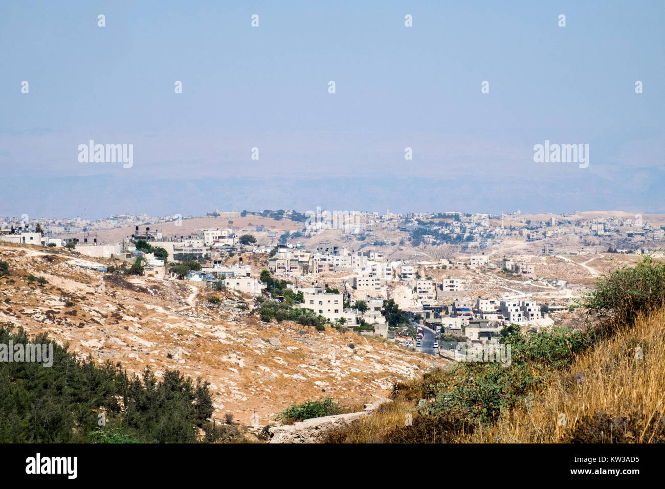 Olive wilde hi-res stock photography and images - Alamy