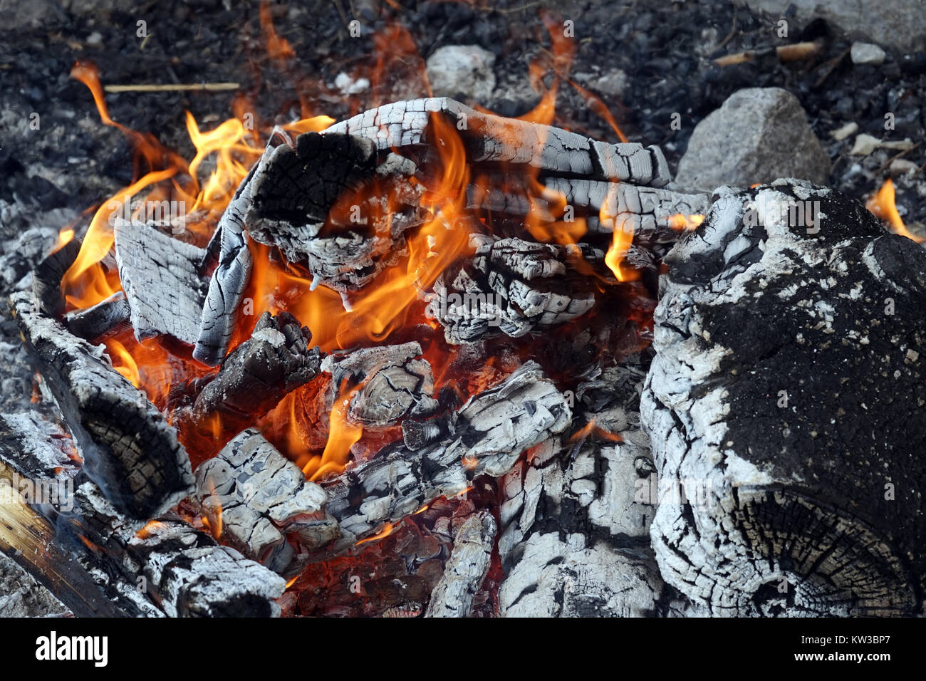 Bonfire on the camp ground in the forest in Germany Stock Photo - Alamy