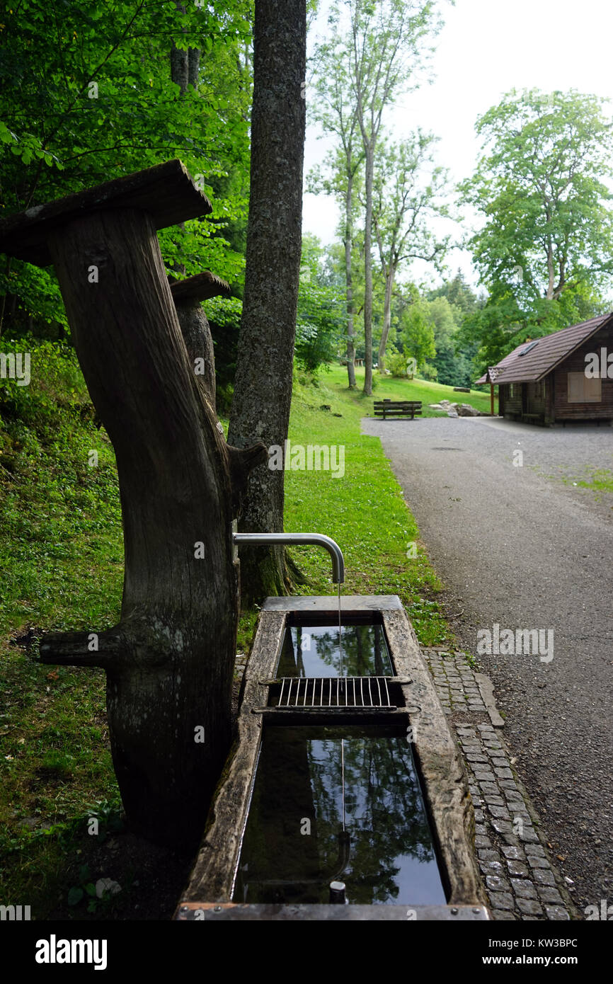 Clean spring water fountain in the park, Germany Stock Photo - Alamy
