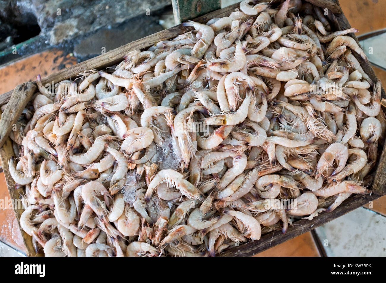 Hurghada fish market hi-res stock photography and images - Alamy