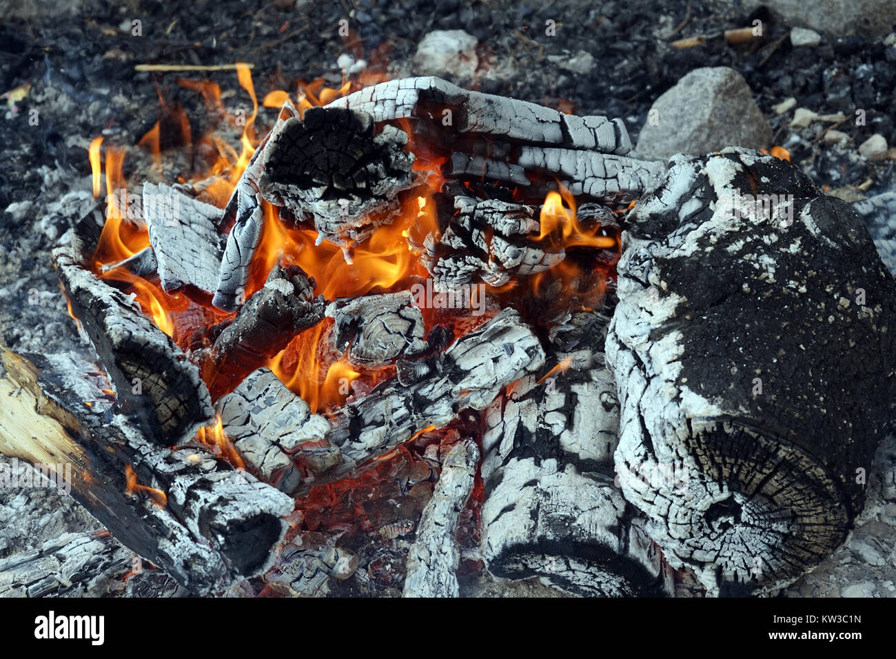 Bonfire on the camp ground in the forest in Germany Stock Photo - Alamy