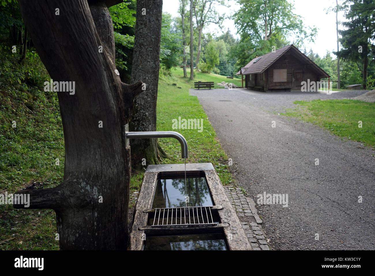 Clean spring water fountain in the park, Germany Stock Photo - Alamy
