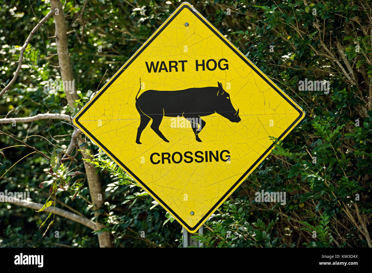 Traffic hog hi-res stock photography and images - Alamy