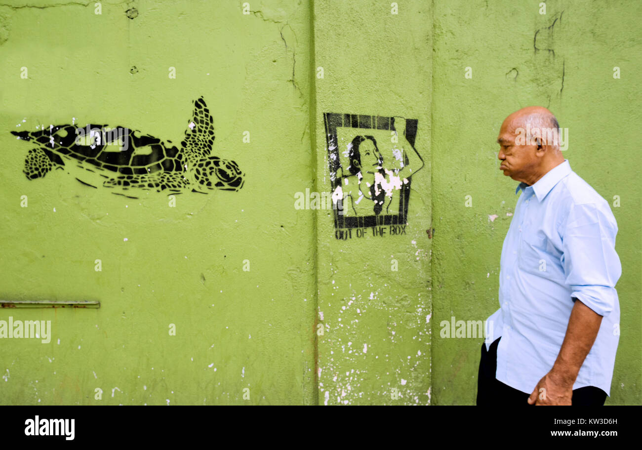 a beautiful street art turtle on a decrepit wall of chinatown in Kuala ...