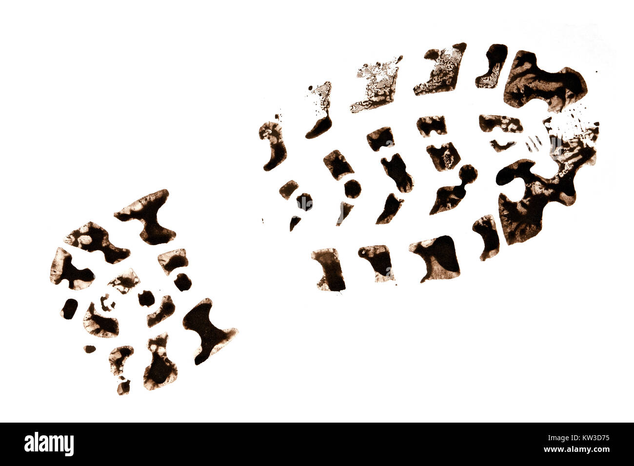 Muddy Footprints Human