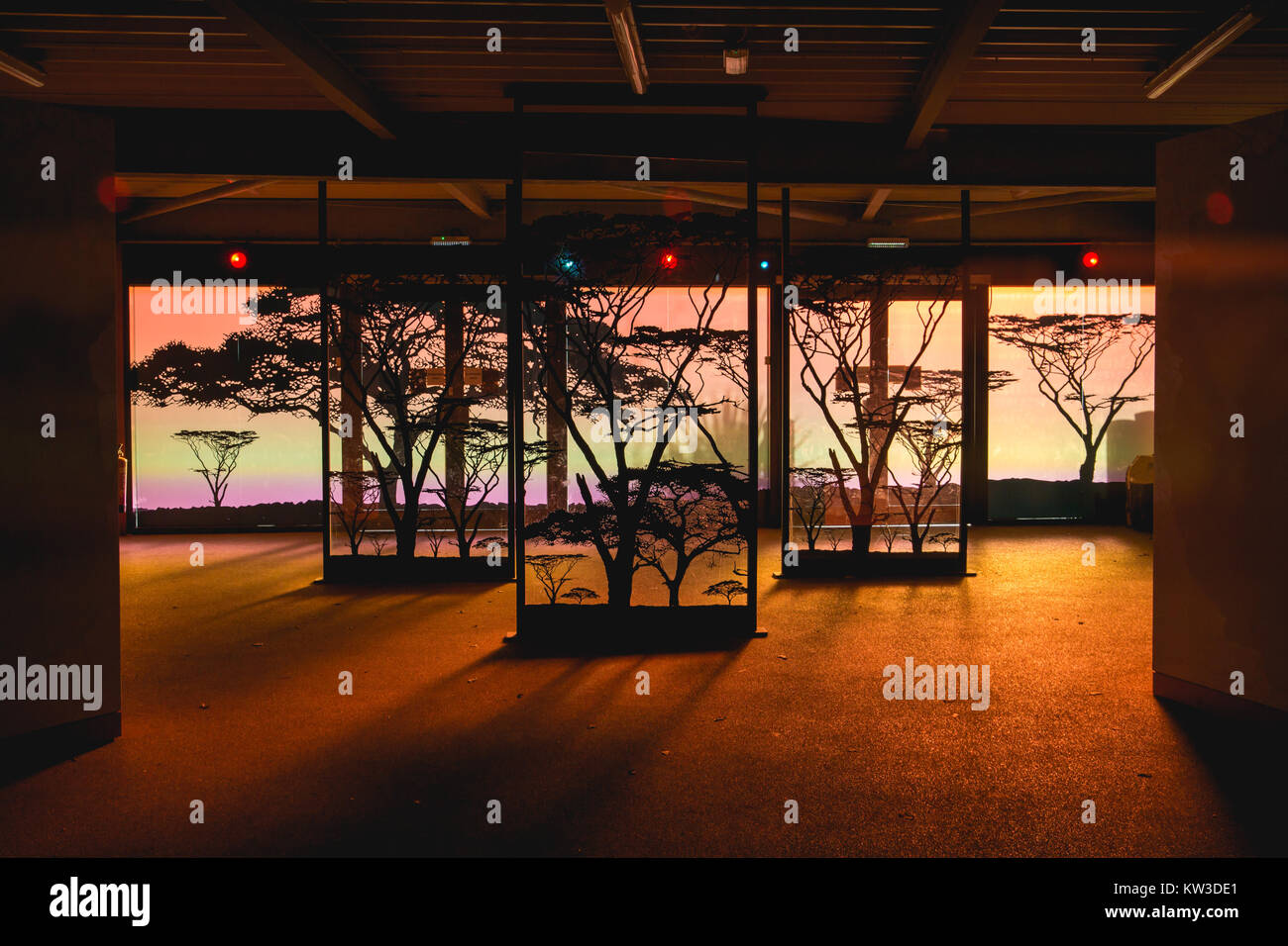 African display hi-res stock photography and images - Alamy