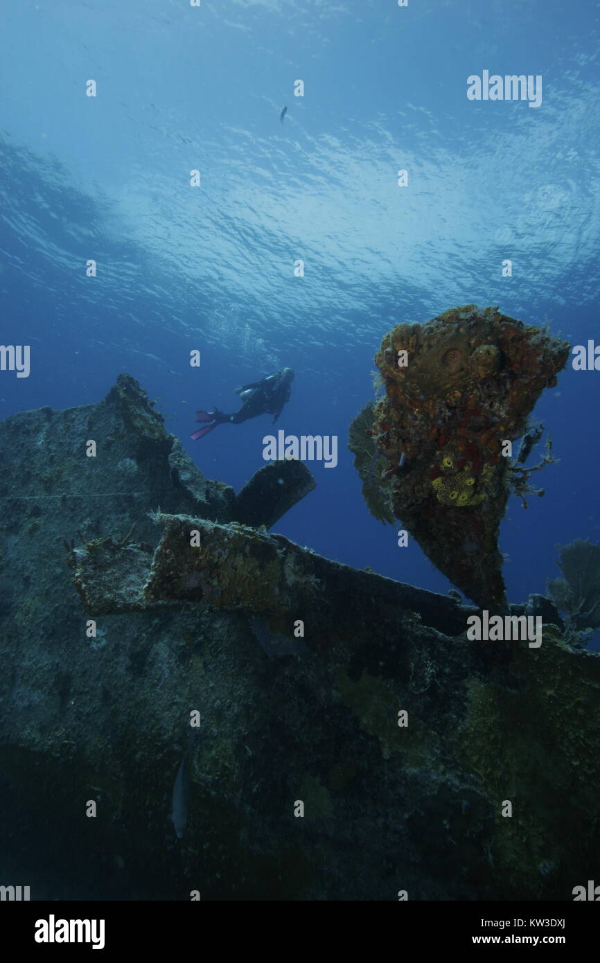 Diver exploring the Wreck of the Benwood, Key Largo, Florida Keys Stock ...
