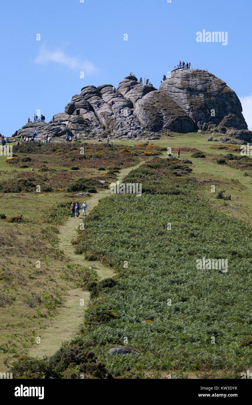 Devon dartmoor haytor hay tor hi-res stock photography and images - Alamy