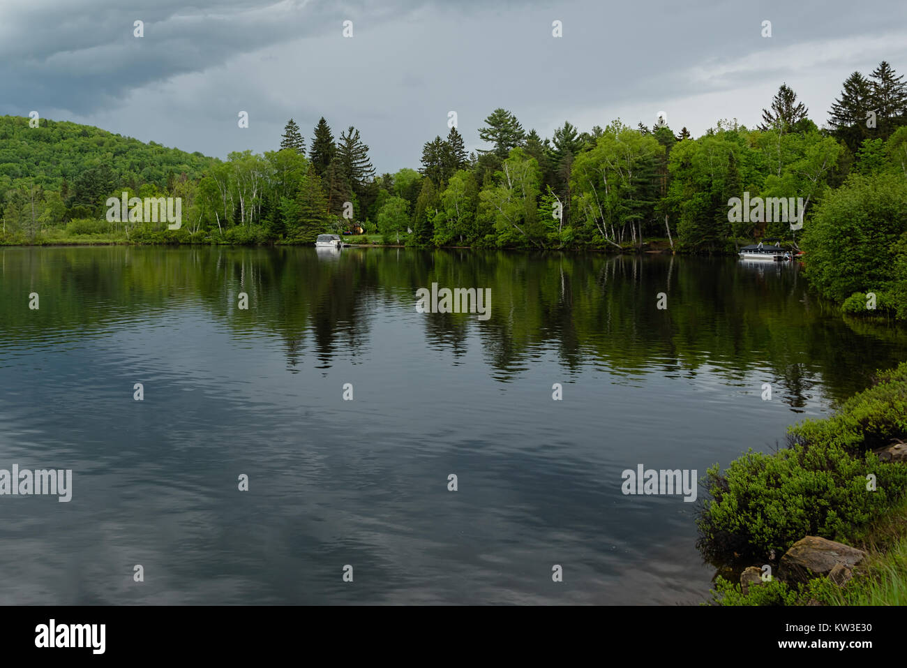 Green pine trees with beautiful reflections in the lake under overcast ...