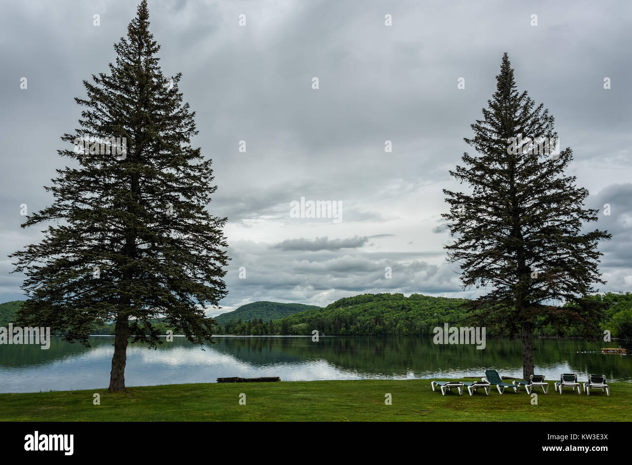 Green pine trees at lakeside under overcast sky Stock Photo - Alamy