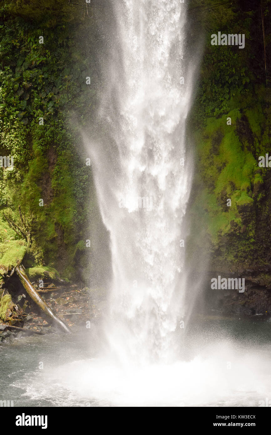 Isolated, close-up of a waterfall with moss rock wall in the background ...
