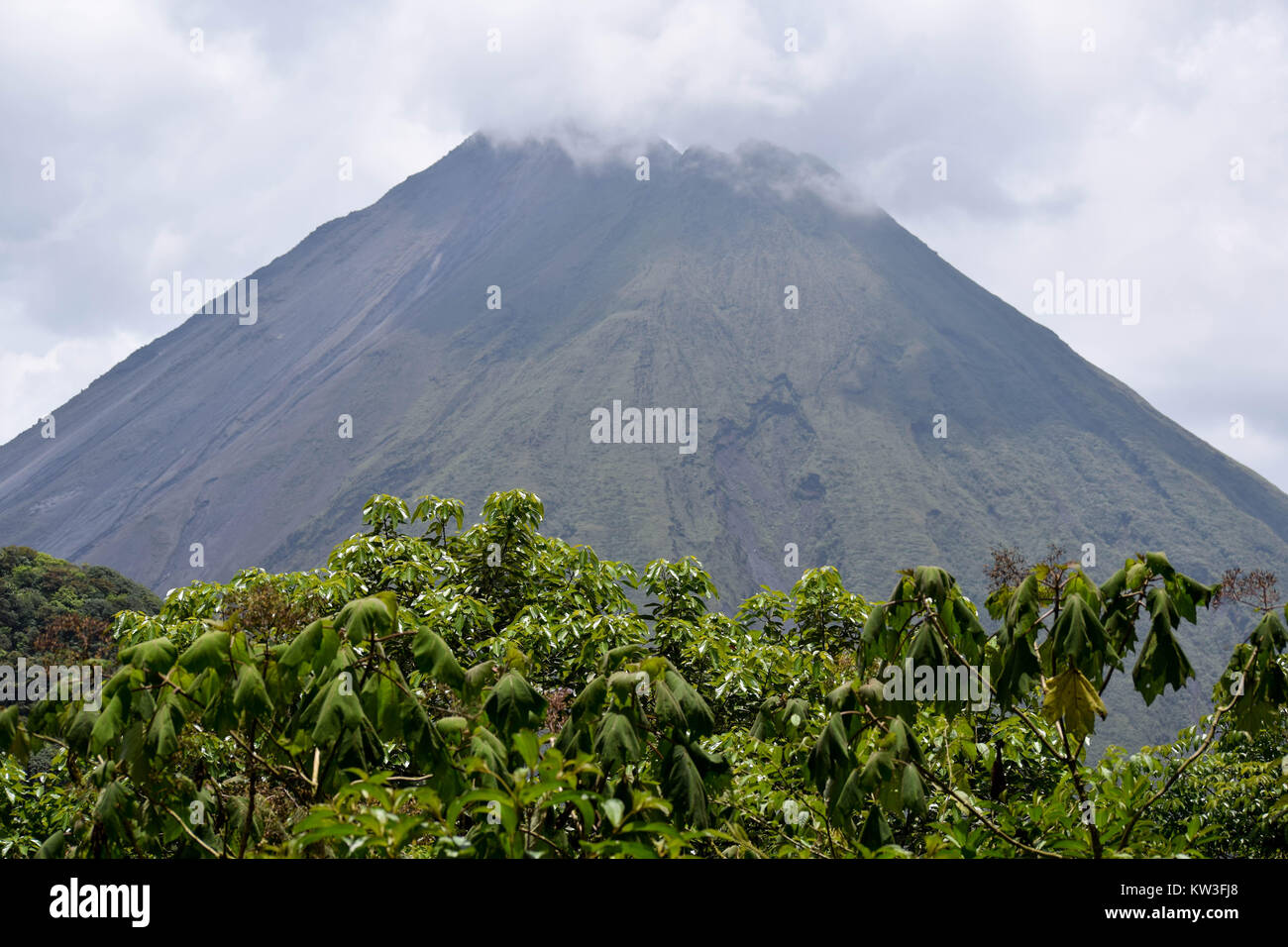 A view of Arenal Volcano, with cloud cover on the very top, a cloudy ...
