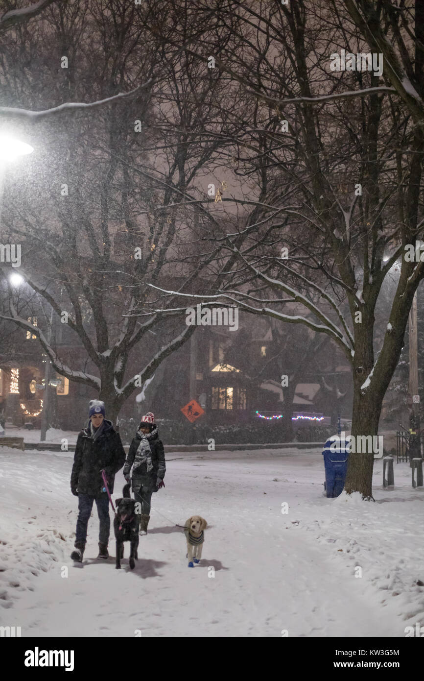 Toronto during the ice storm hi-res stock photography and images - Alamy