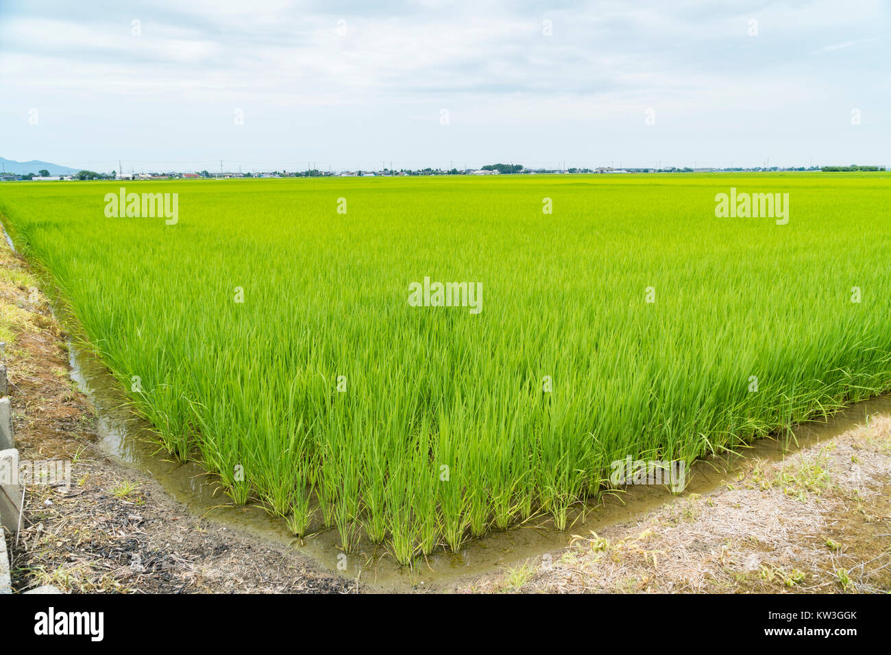 Niigata city hi-res stock photography and images - Alamy