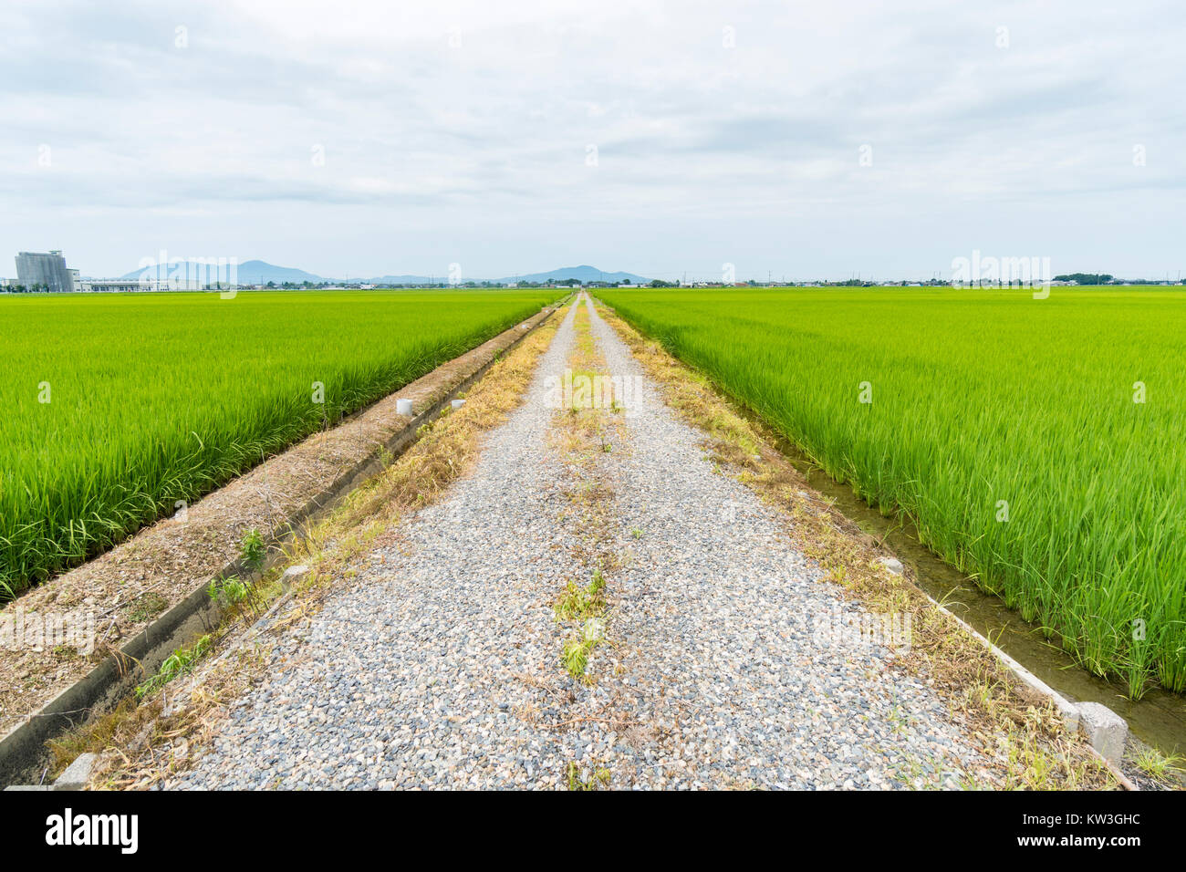 Yahiko line hi-res stock photography and images - Alamy