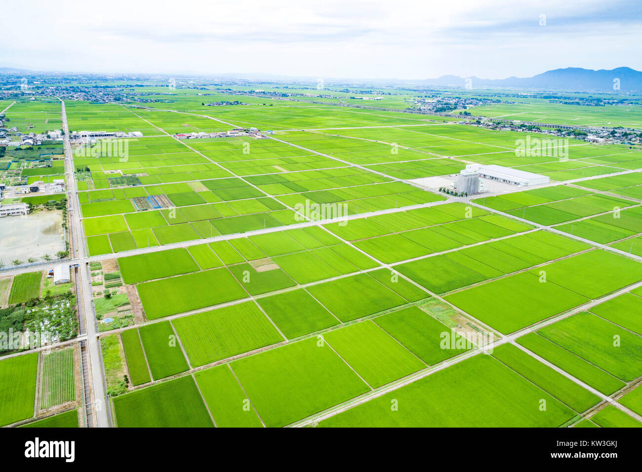 Rice Field, Minami-Ku, Niigata City, Niigata Prefecture, Japan Stock ...