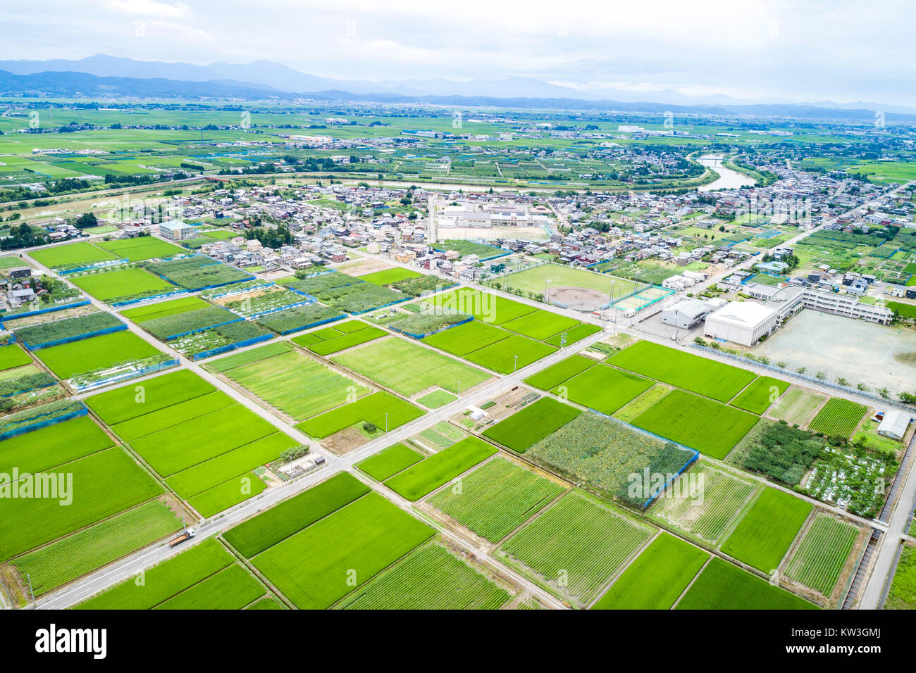 Rice Field, Minami-Ku, Niigata City, Niigata Prefecture, Japan Stock ...