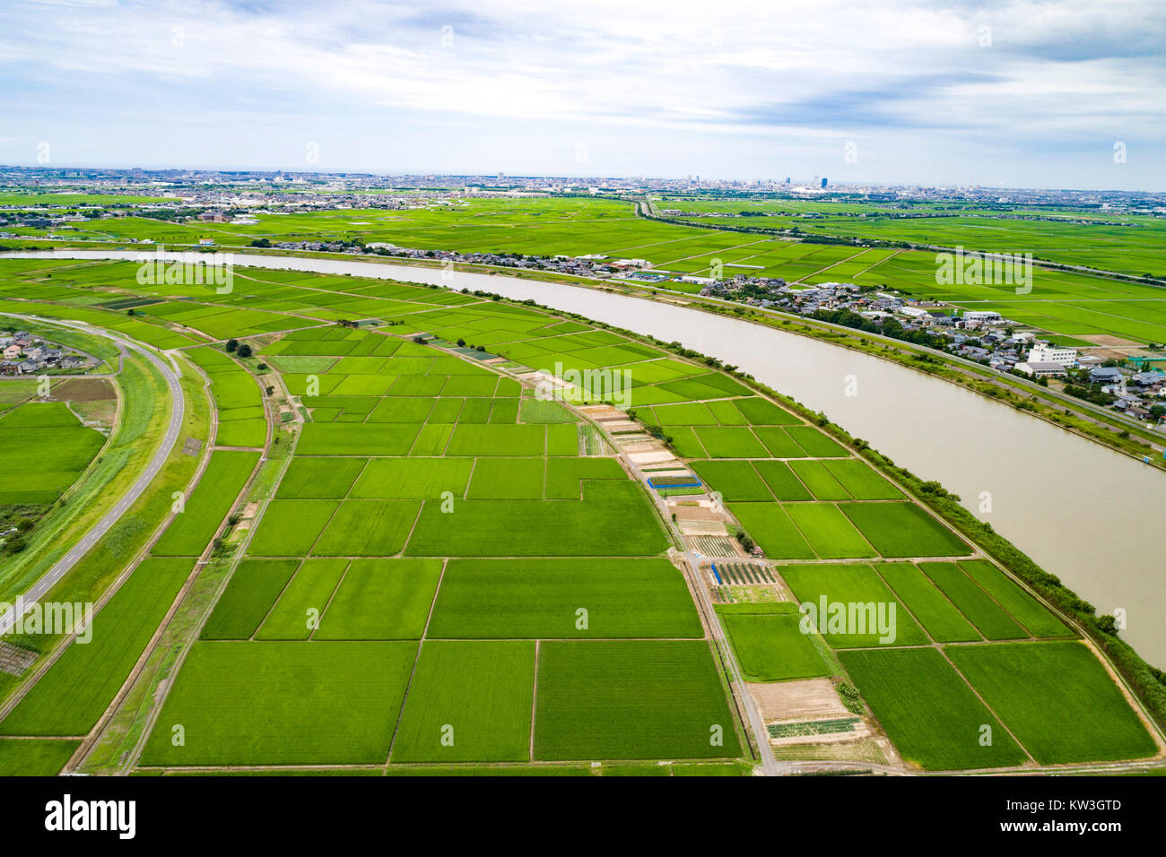 Rice Field, Minami-Ku, Niigata City, Niigata Prefecture, Japan Stock ...
