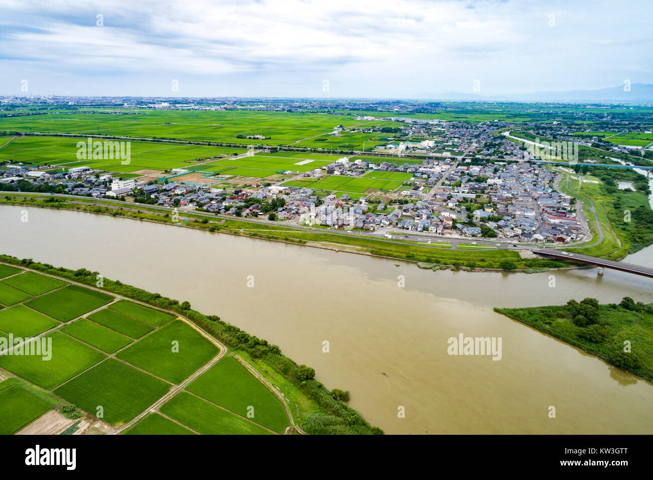 Rice Field, Minami-Ku, Niigata City, Niigata Prefecture, Japan Stock ...