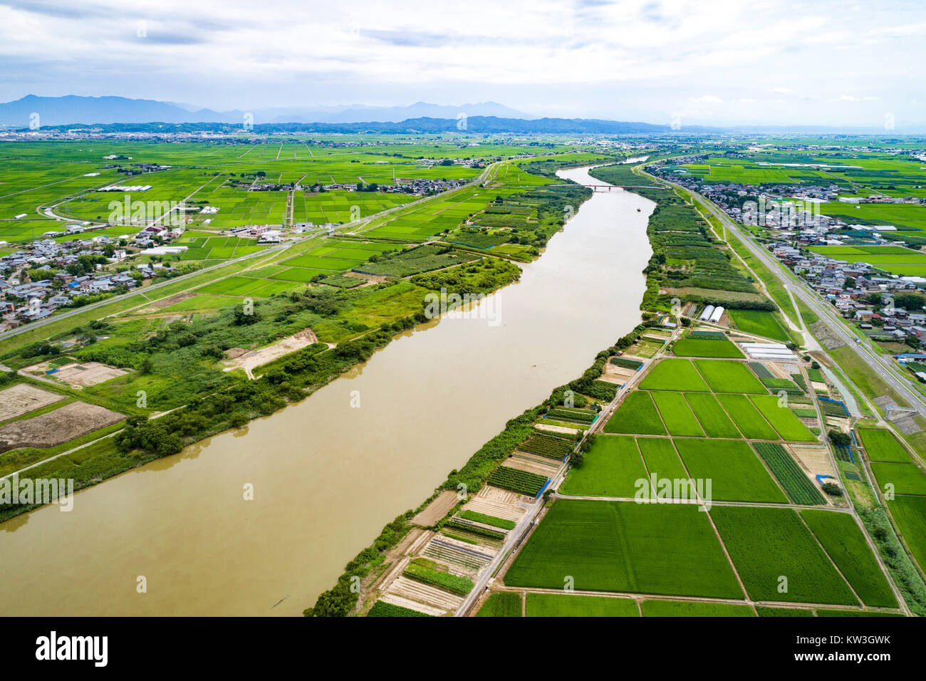 Rice Field, Minami-Ku, Niigata City, Niigata Prefecture, Japan Stock ...
