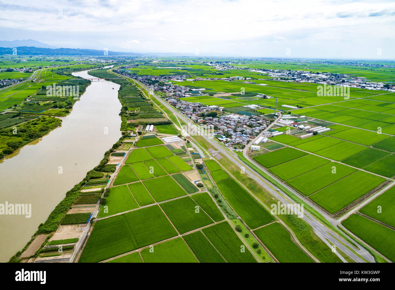 Rice Field, Minami-Ku, Niigata City, Niigata Prefecture, Japan Stock ...