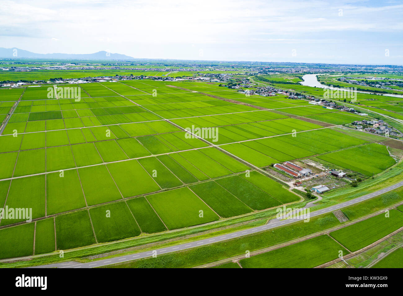 Rice Field, Minami-Ku, Niigata City, Niigata Prefecture, Japan Stock ...