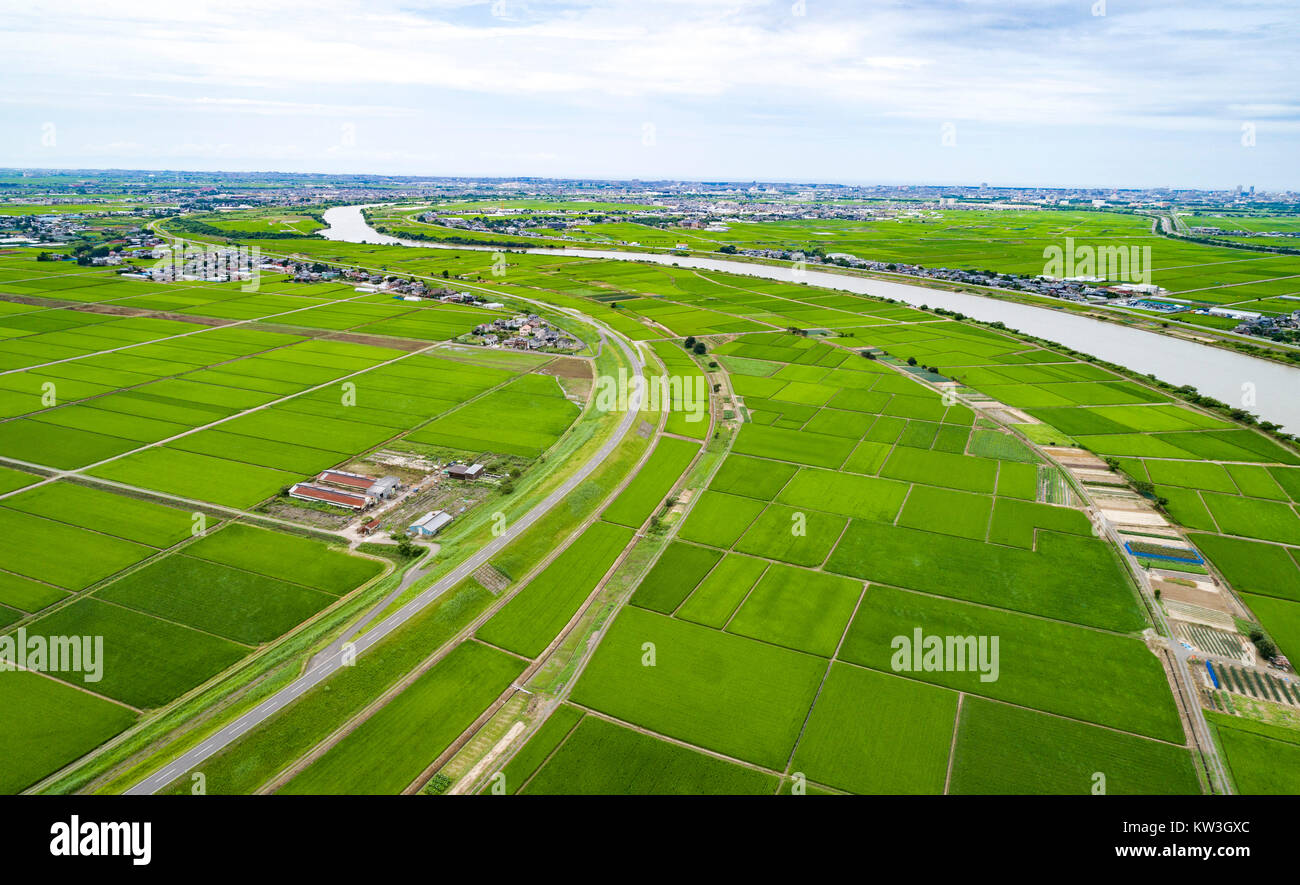 Rice Field, Minami-Ku, Niigata City, Niigata Prefecture, Japan Stock ...