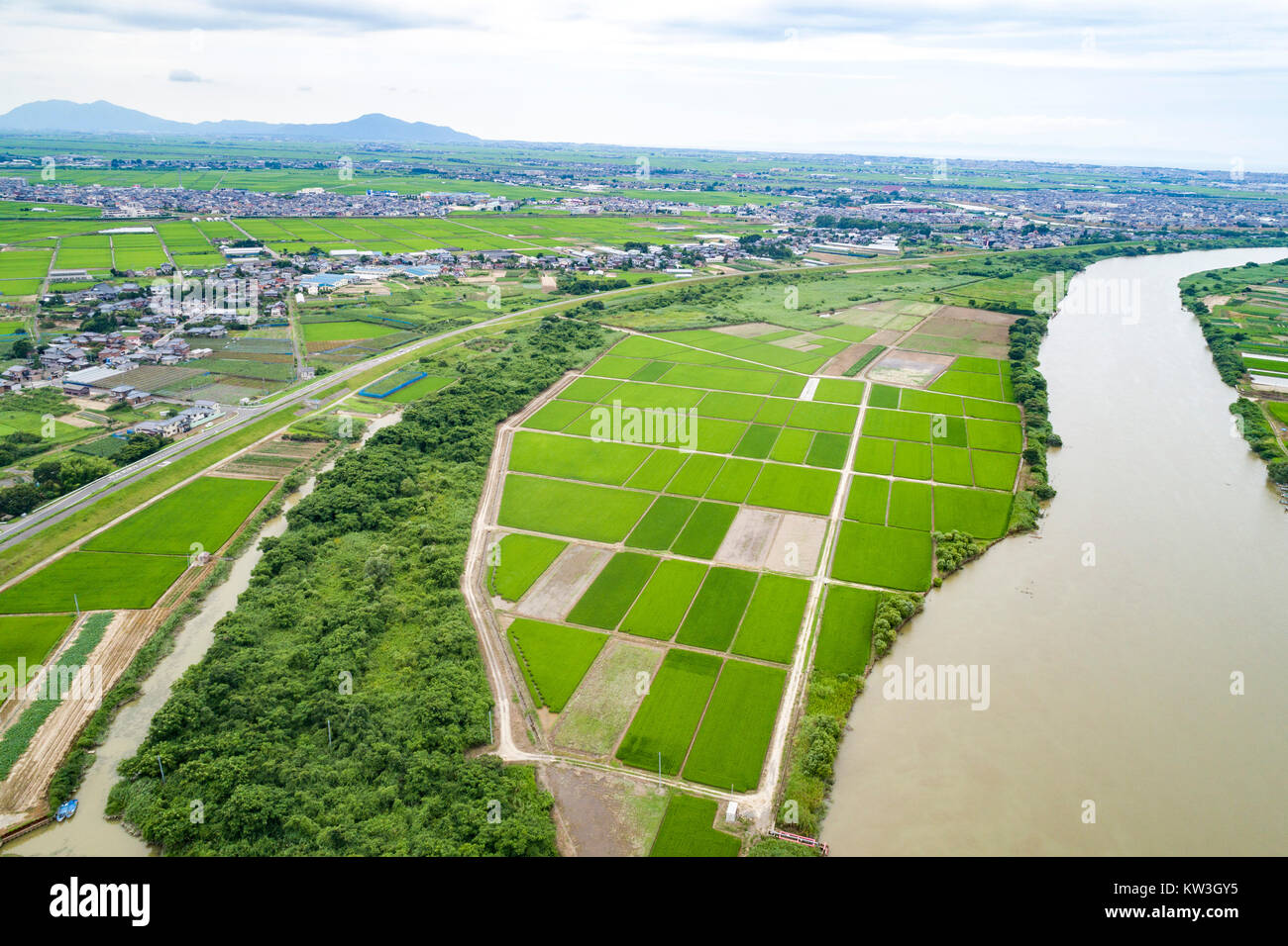 Rice Field, Minami-Ku, Niigata City, Niigata Prefecture, Japan Stock ...
