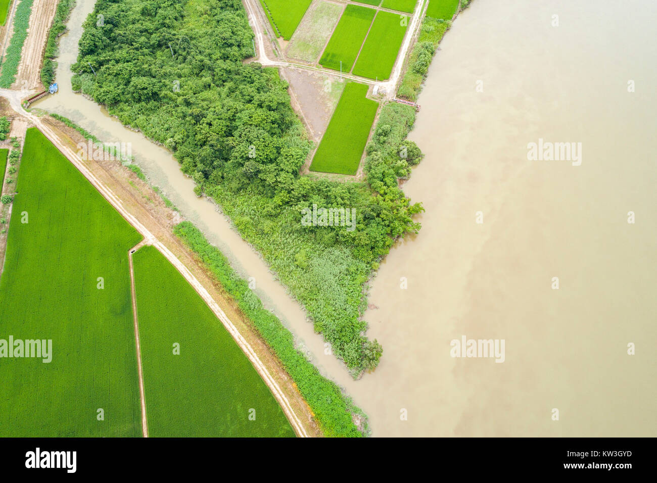 Rice Field, Minami-Ku, Niigata City, Niigata Prefecture, Japan Stock ...