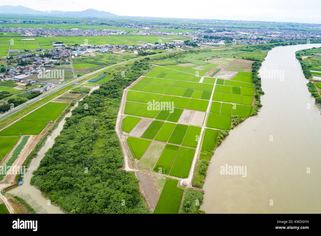 Rice Field, Minami-Ku, Niigata City, Niigata Prefecture, Japan Stock ...