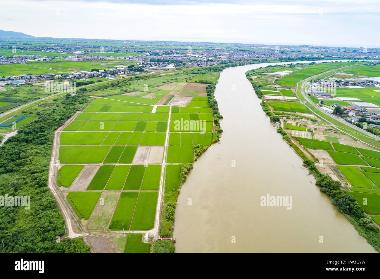 Rice Field, Minami-Ku, Niigata City, Niigata Prefecture, Japan Stock ...