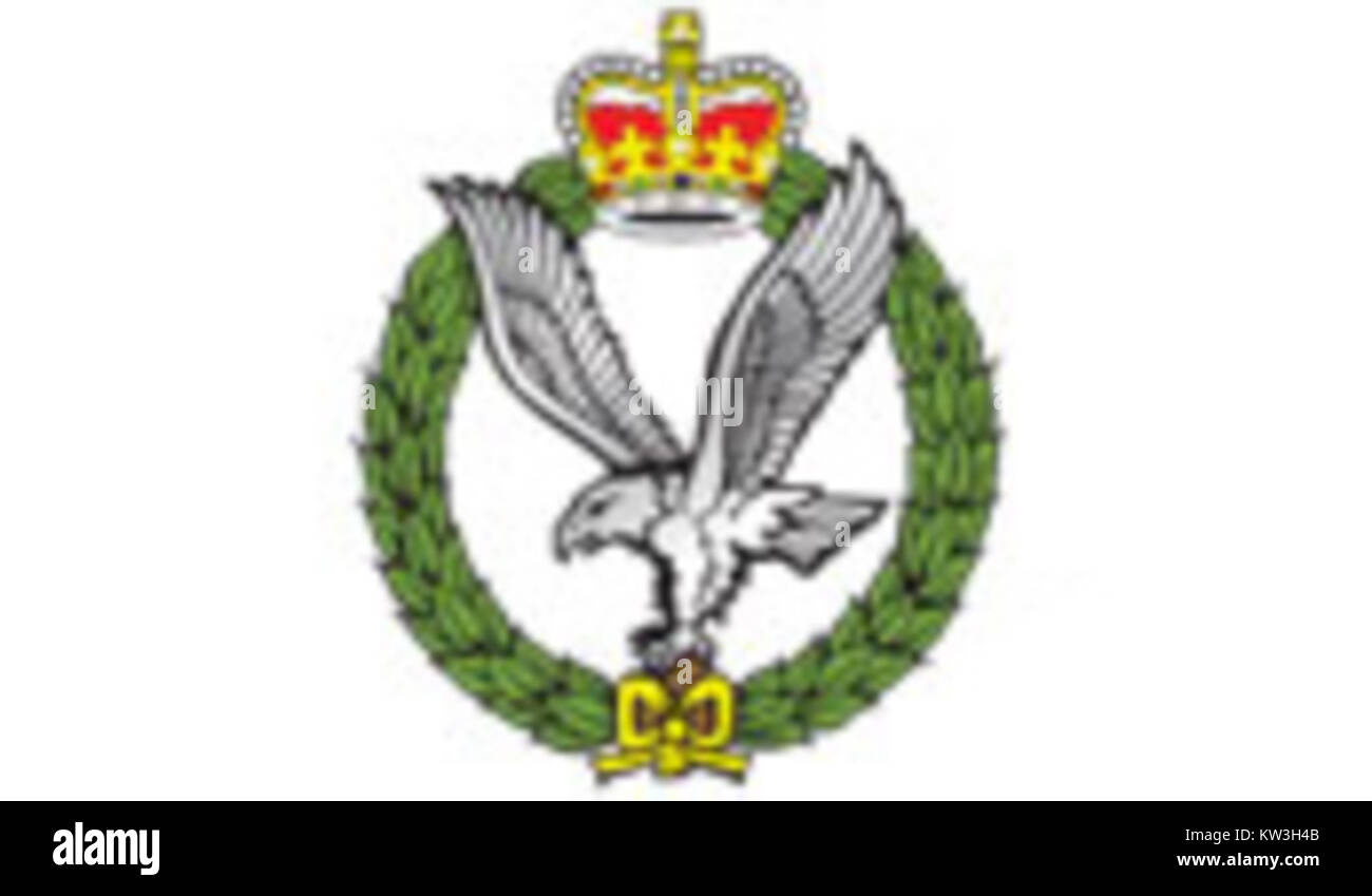 UK Army badge Stock Photo - Alamy