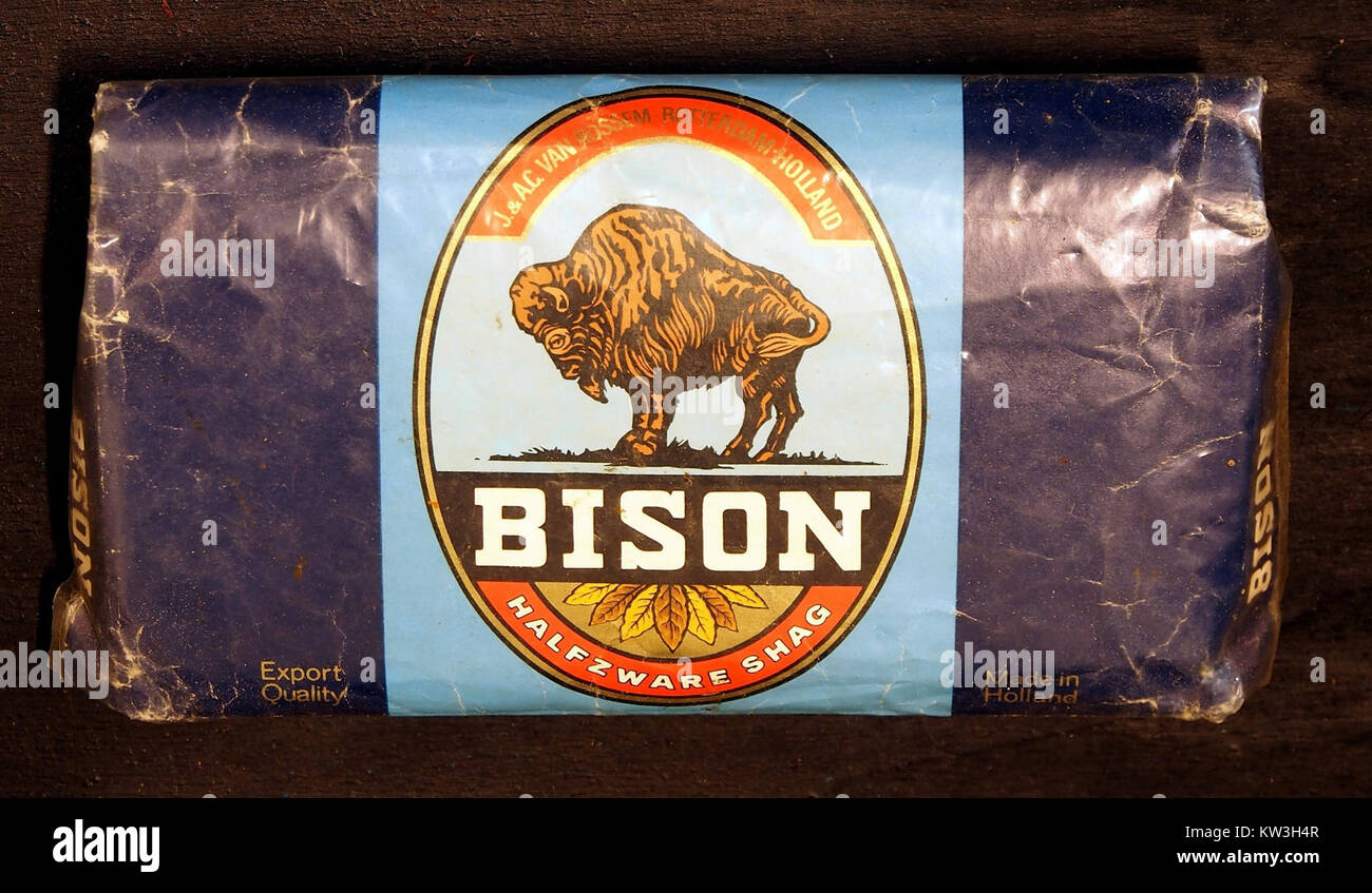 This image features a bison in its natural habitat, displaying its ...