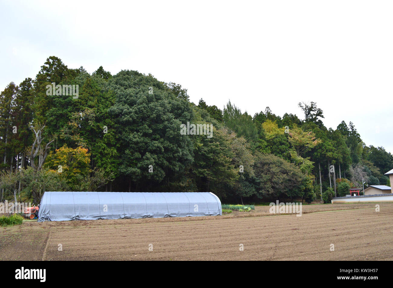 The image depicts the Bontenyama Kofun, an ancient burial mound in ...