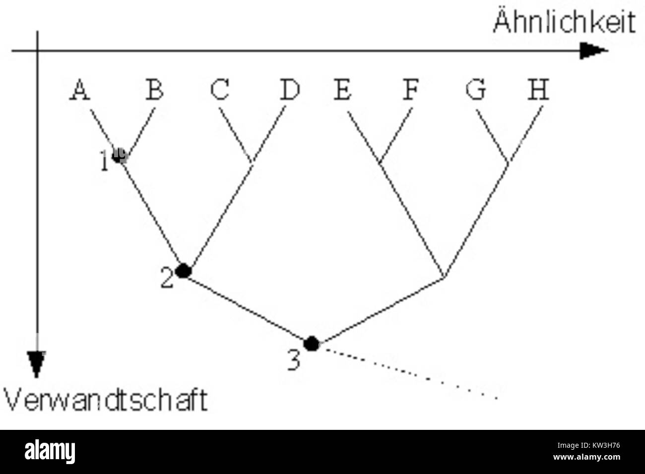 Understanding evolutionary Cut Out Stock Images & Pictures - Alamy