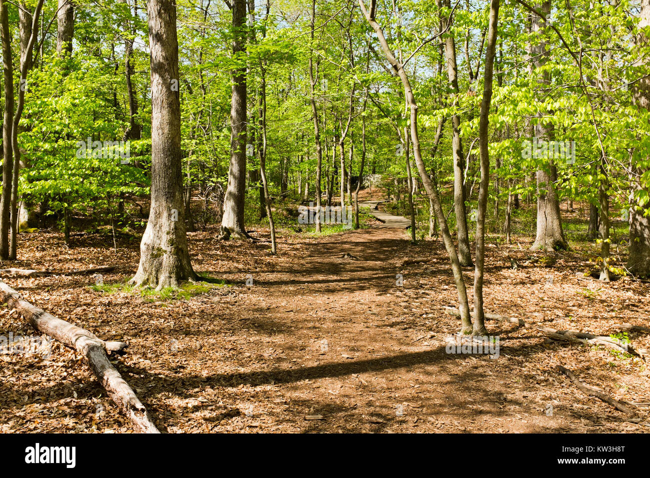 The Billy Goat C Trail, located near the beginning at the parking lot ...