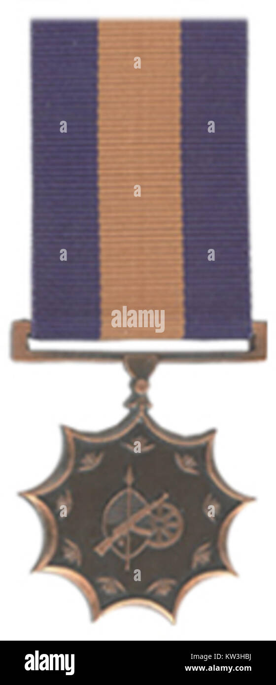 Merit medal hi-res stock photography and images - Alamy