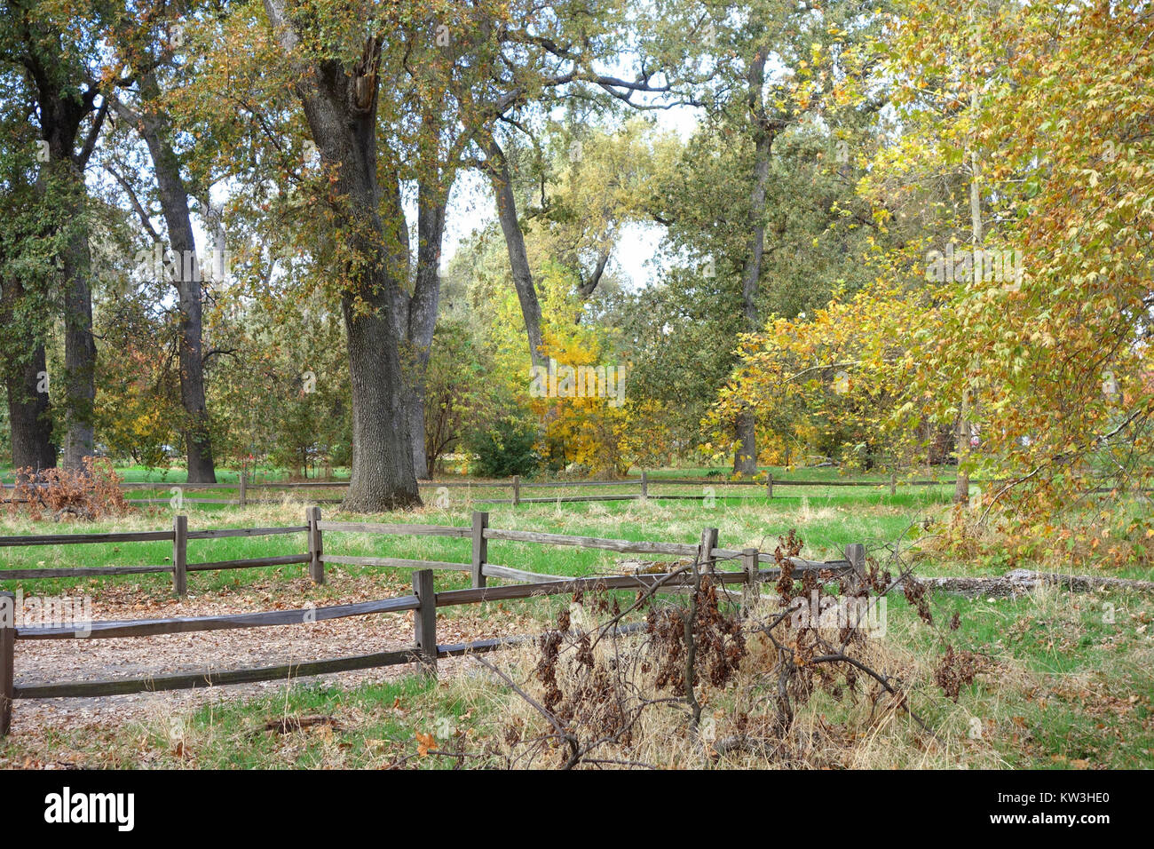 Bidwell Park, located in Chico, California, is one of the largest ...