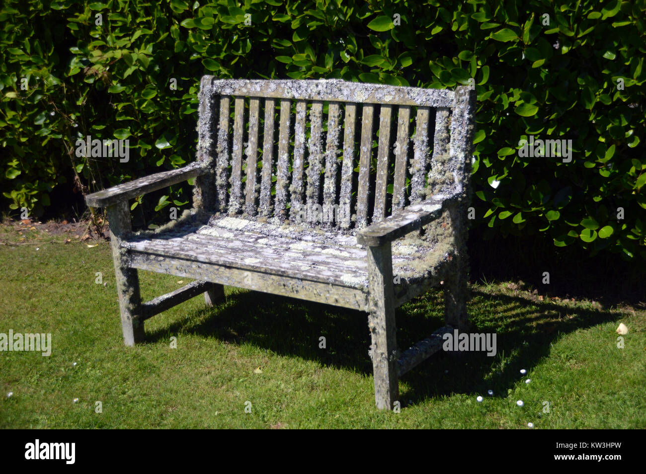 Old Moss Covered Wooden Bench near the Veg & Fruit Gardens at Abbey ...