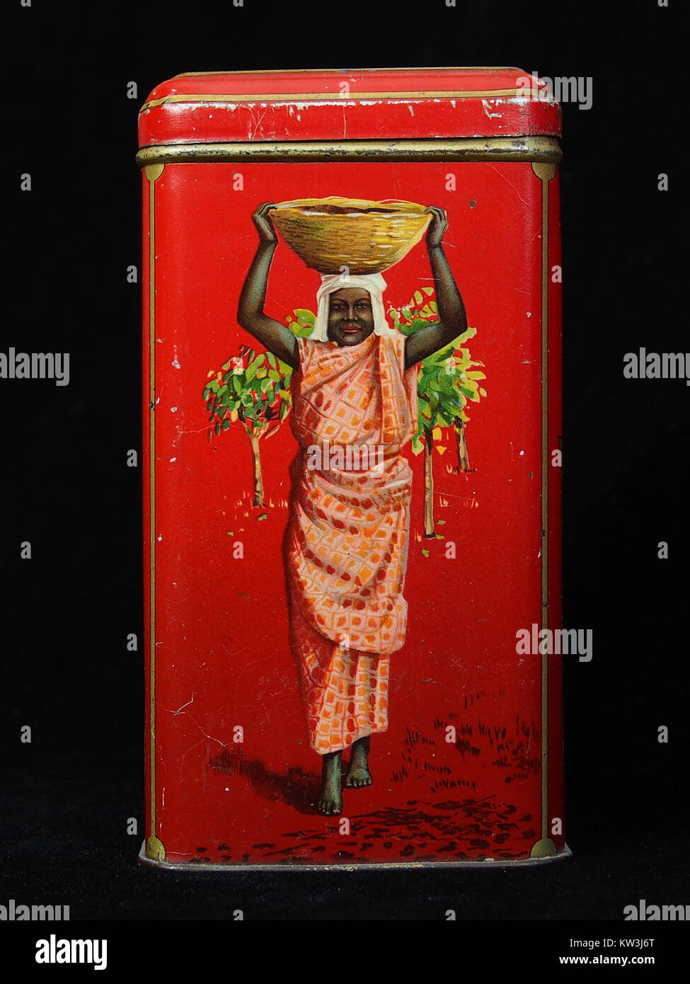 This photograph showcases Boon Cacao plantation, illustrating the cacao ...