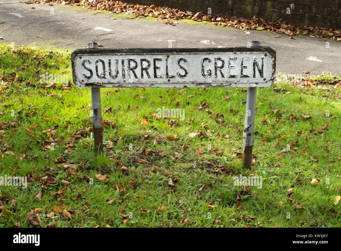 An old, faded metal street sign placed on top of green grass down a ...