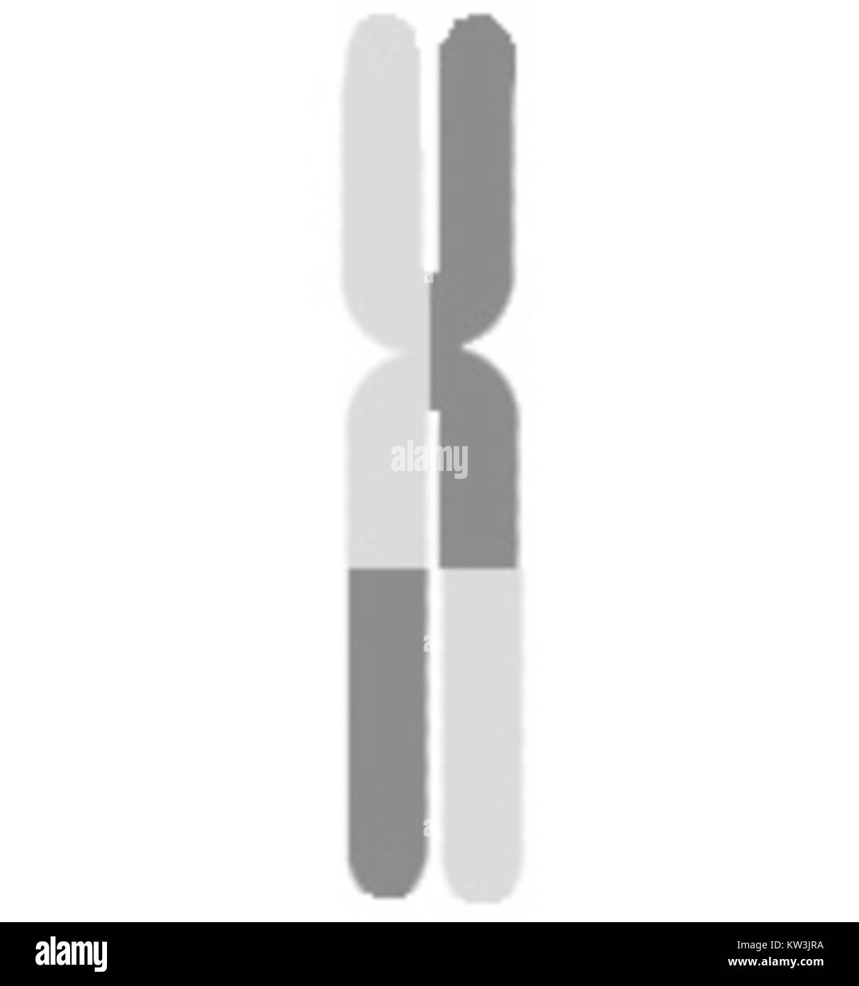 Plan driven process Black and White Stock Photos & Images - Alamy