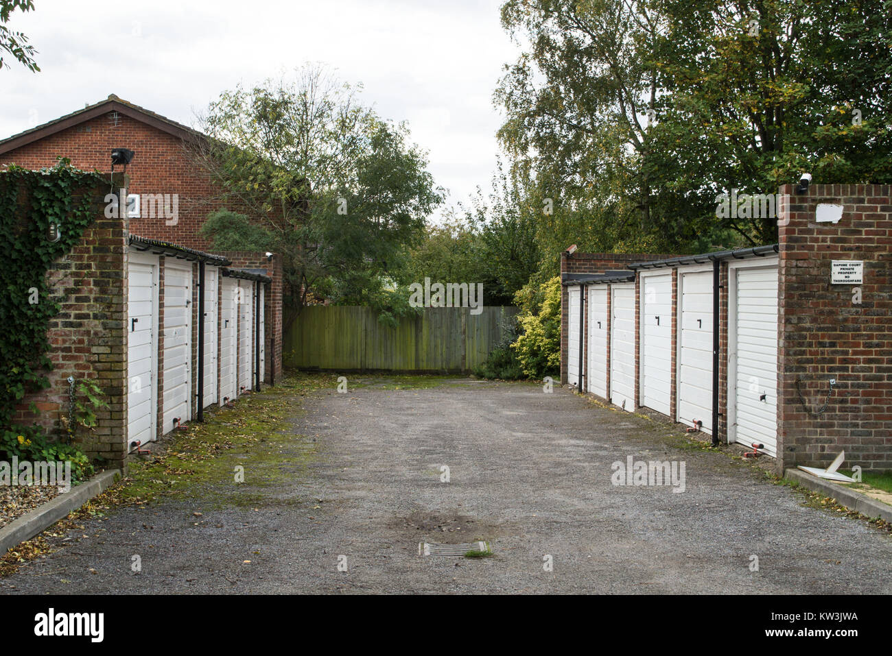 A set of garages with white doors down a creepy alley way surrounded by ...