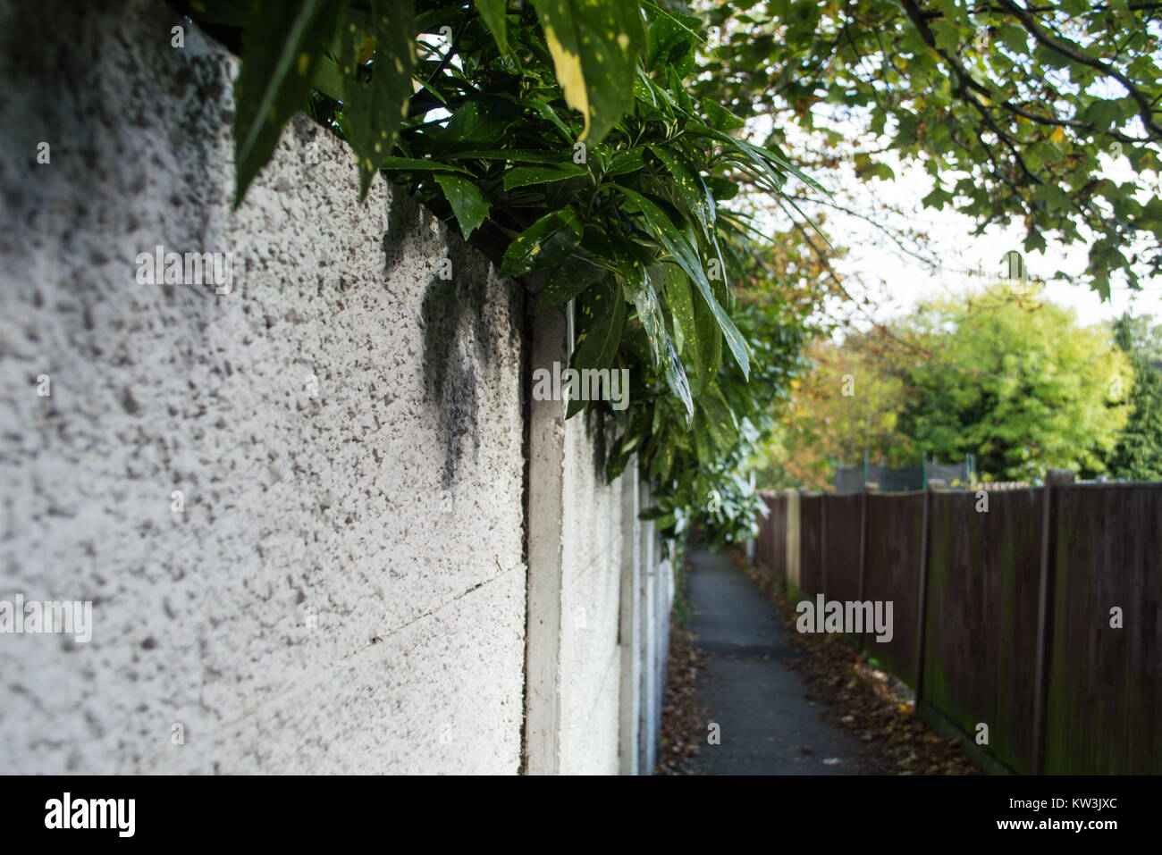 A grey, creepy looking alleyway down a suburban/village street. It is ...