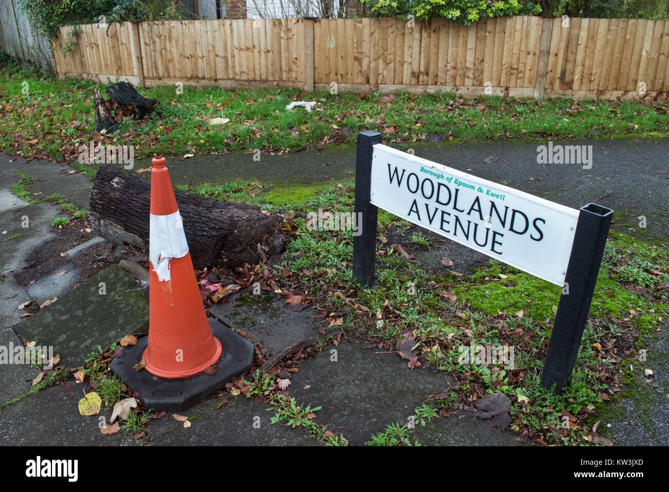 A grey, dismal, creepy suburban setting featuring a metal street sign ...
