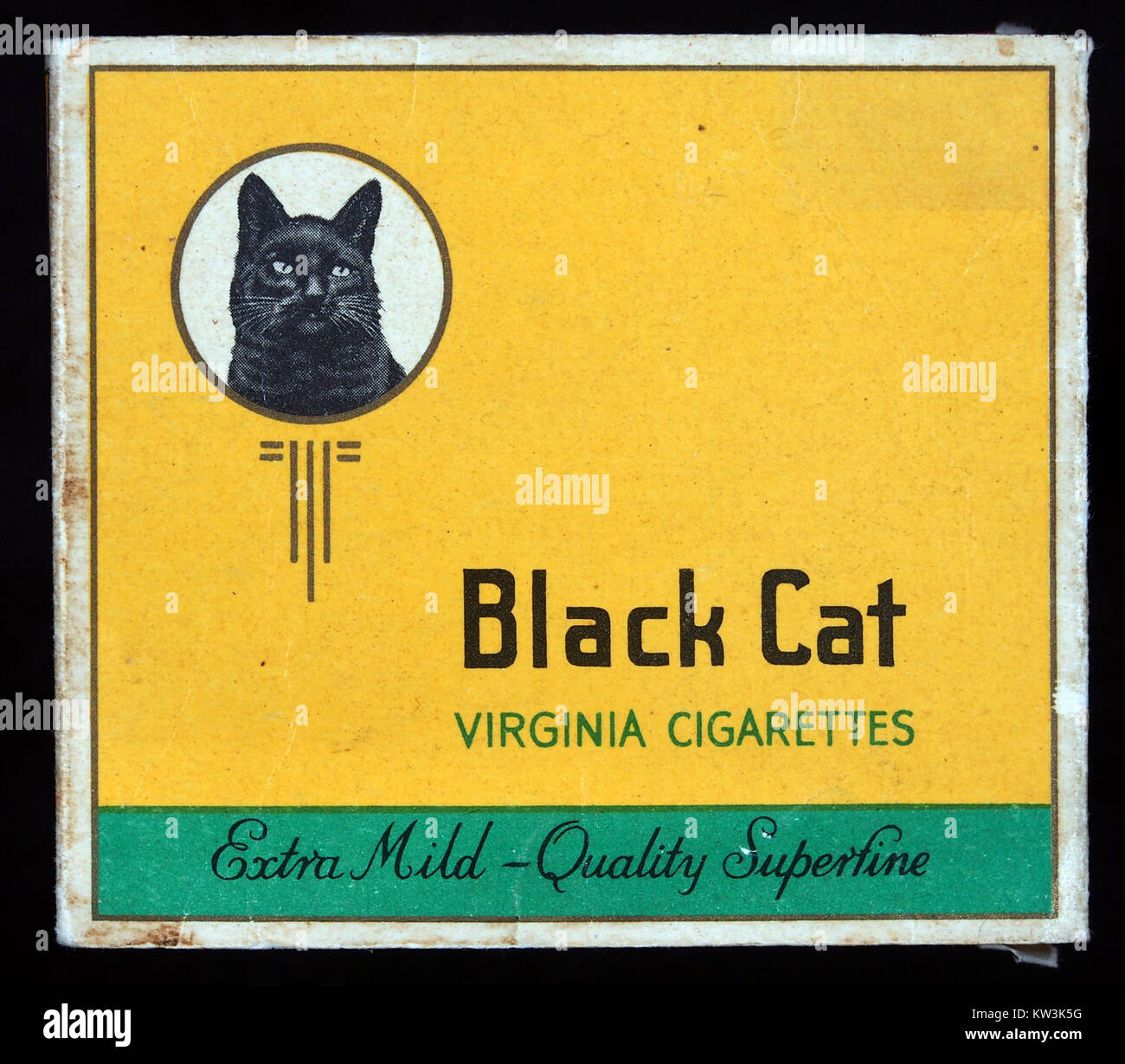 Image recognition cat hi-res stock photography and images - Alamy