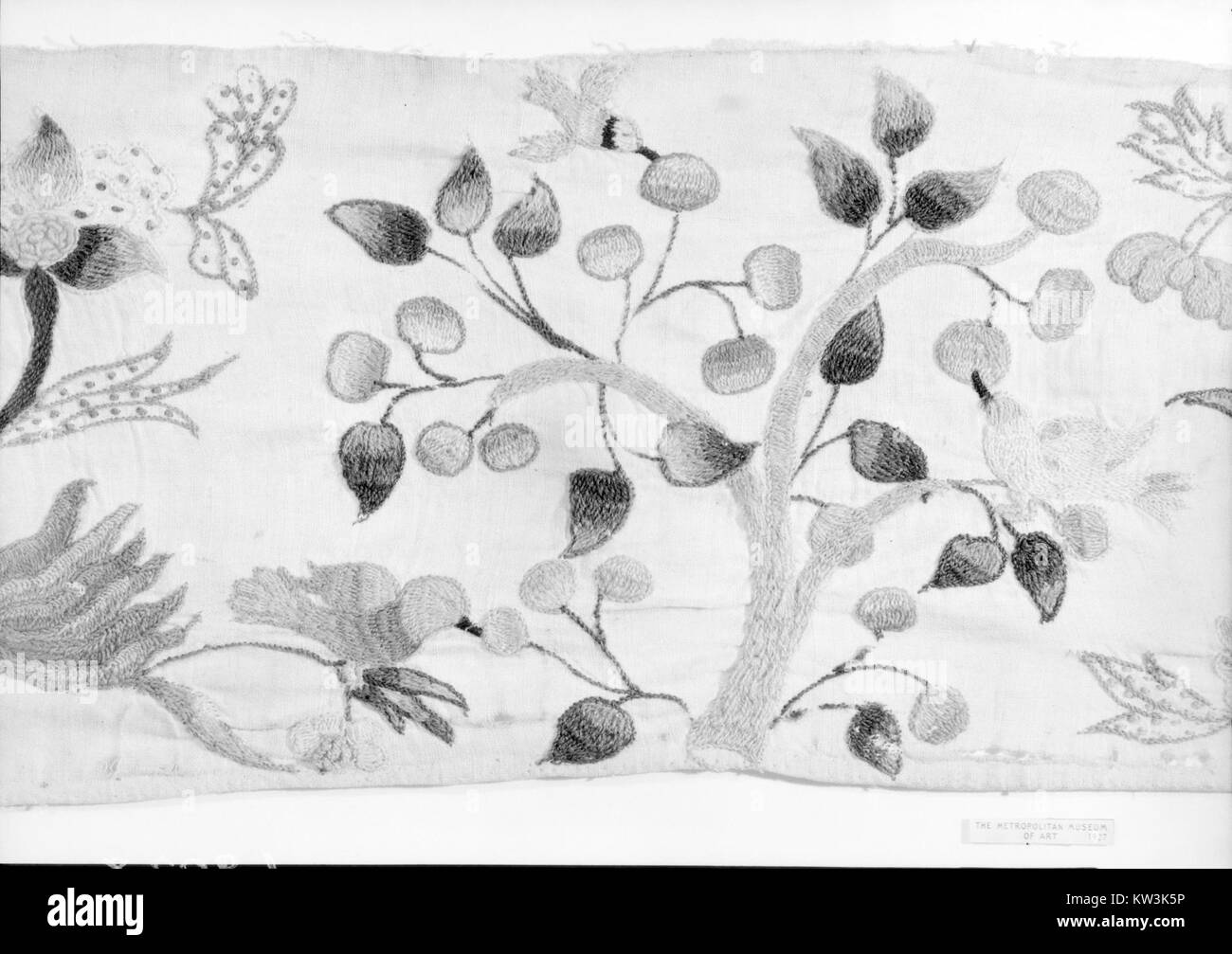 This image captures the border area, identified by MET 69028. The ...