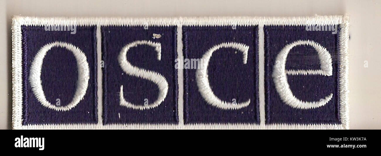 The OSCE (Organization for Security and Co-operation in Europe) is an ...
