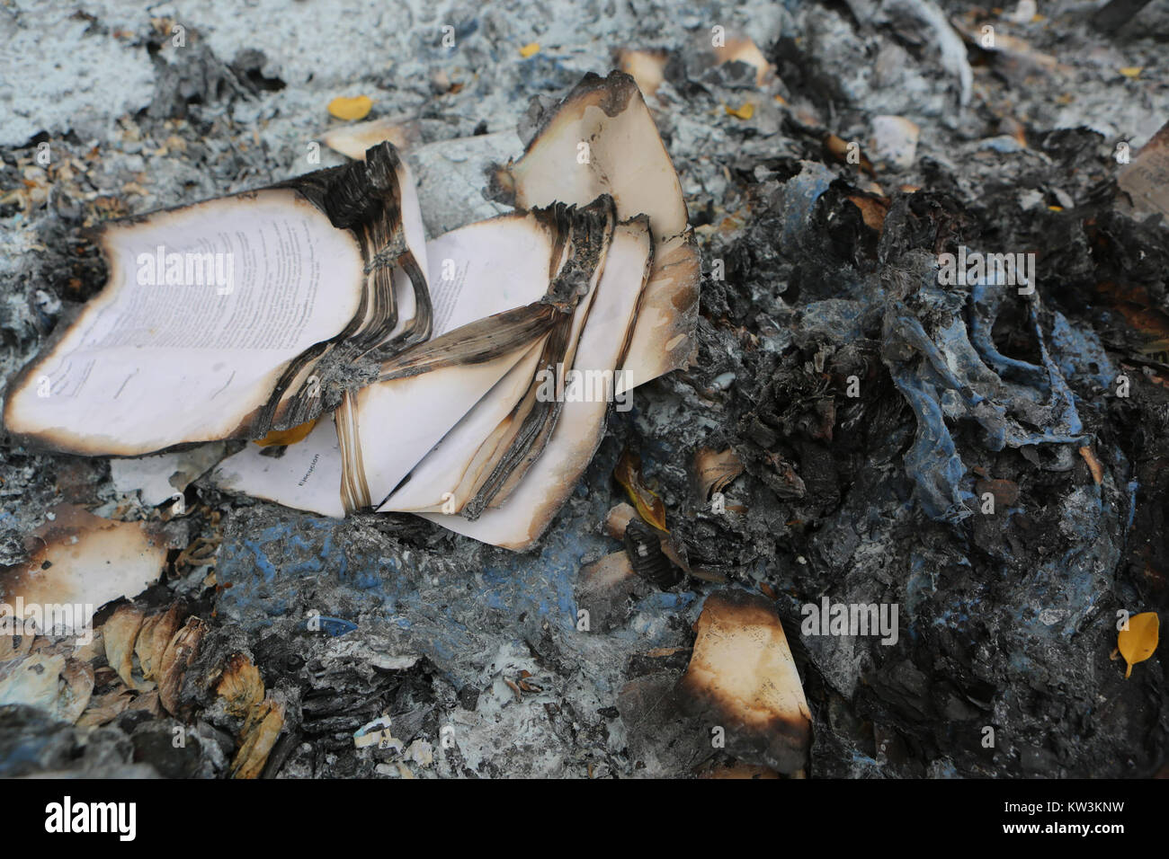 This image shows burned book pages, which could be a reference to book ...